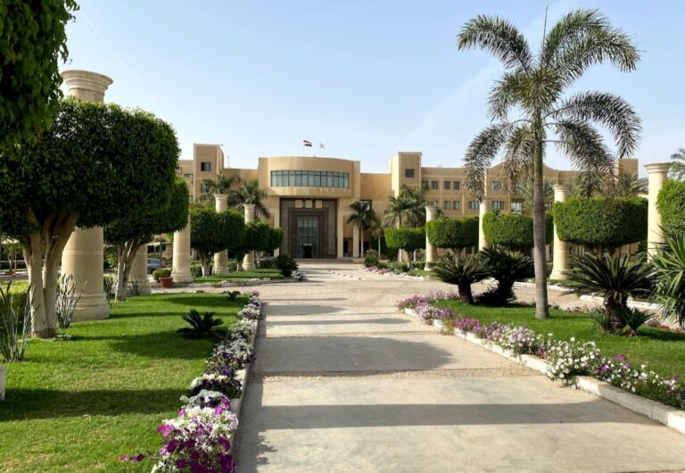 مصاريف جامعة مصر الدولية 2024 - 2025 والكليات والاوراق المطلوبة في ...